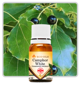 Camphor White